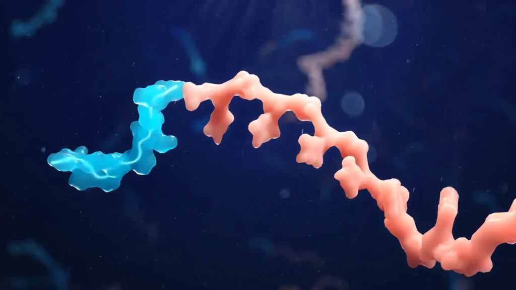 一体化寡核苷酸和多肽 CDMO | WuXi TIDES