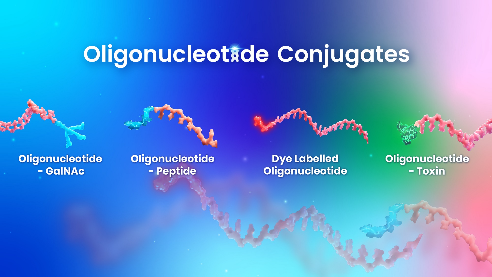 Custom Oligonucleotide Ligand Conjugates WuXi TIDES Custom Oligonucleotide Ligand Conjugates WuXi TIDES