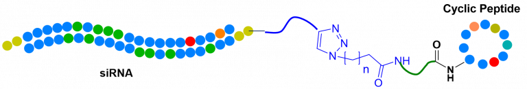Custom Oligonucleotide–Ligand Conjugates | WuXi TIDES